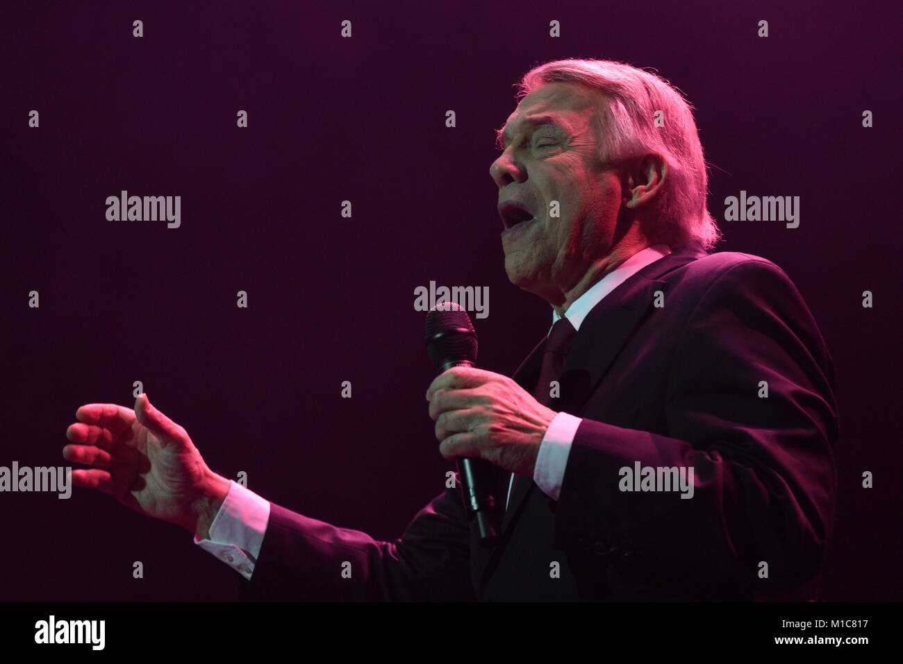 Adamo concert High Resolution Stock Photography and Images - Alamy