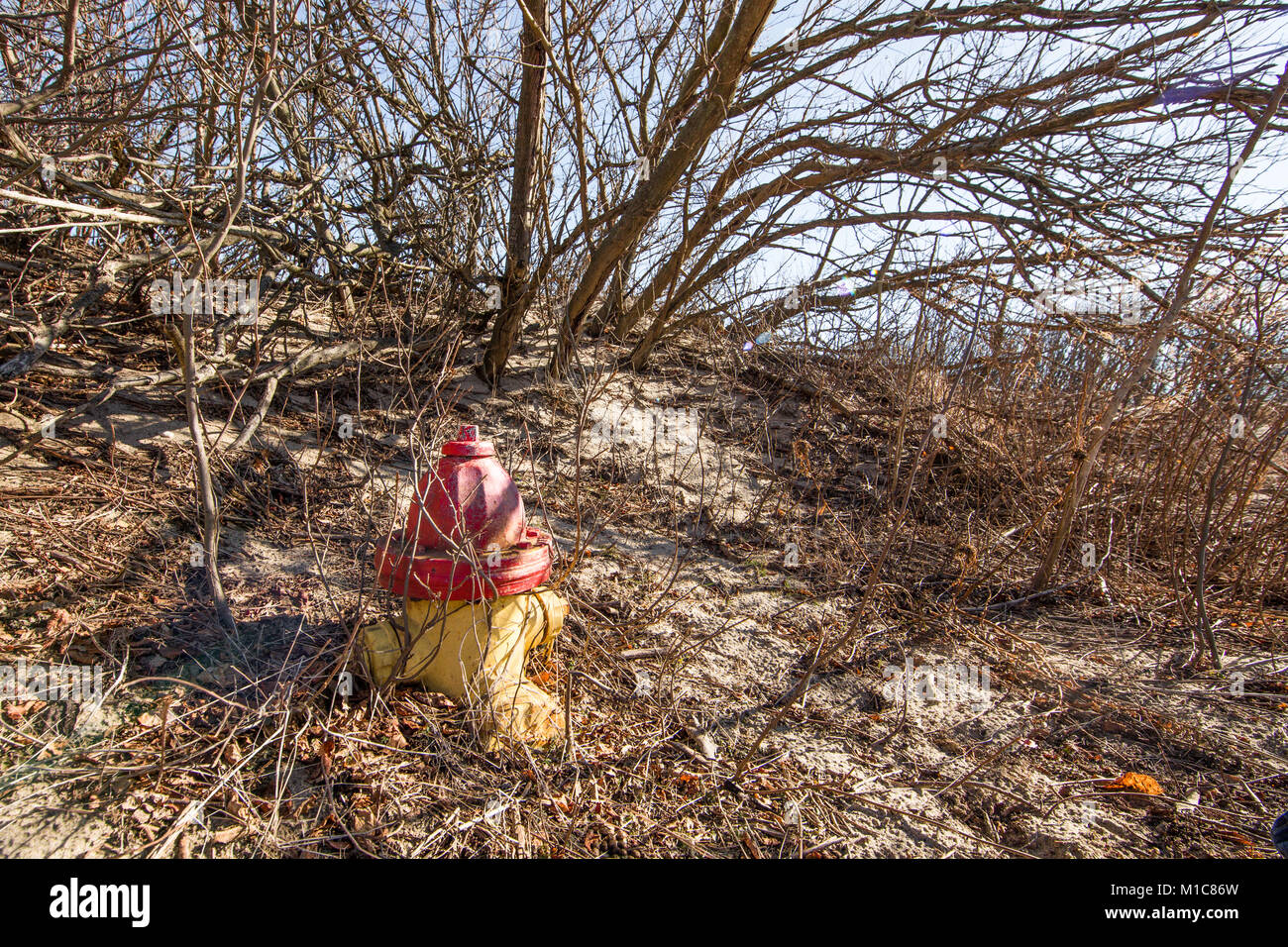 Fire Hydrant buried in the sand and brush Stock Photo - Alamy