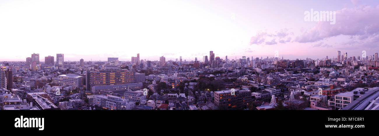 Tokyo cityscape panorama, Tokyo, Japan Stock Photo - Alamy