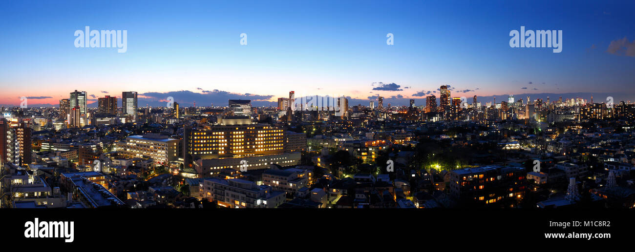 Tokyo cityscape panorama, Tokyo, Japan Stock Photo - Alamy