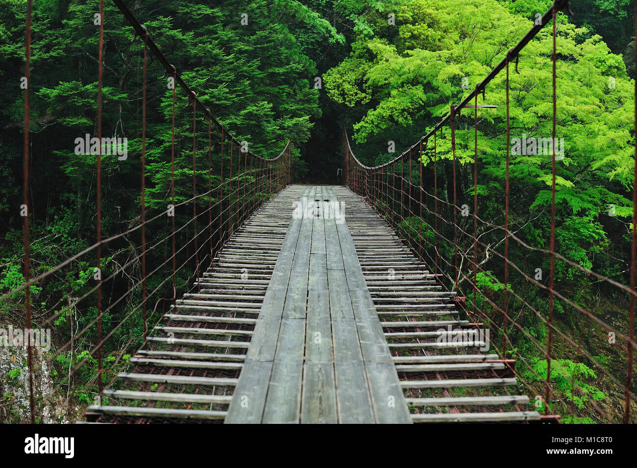 Toro Gorge, Japan Stock Photo - Alamy