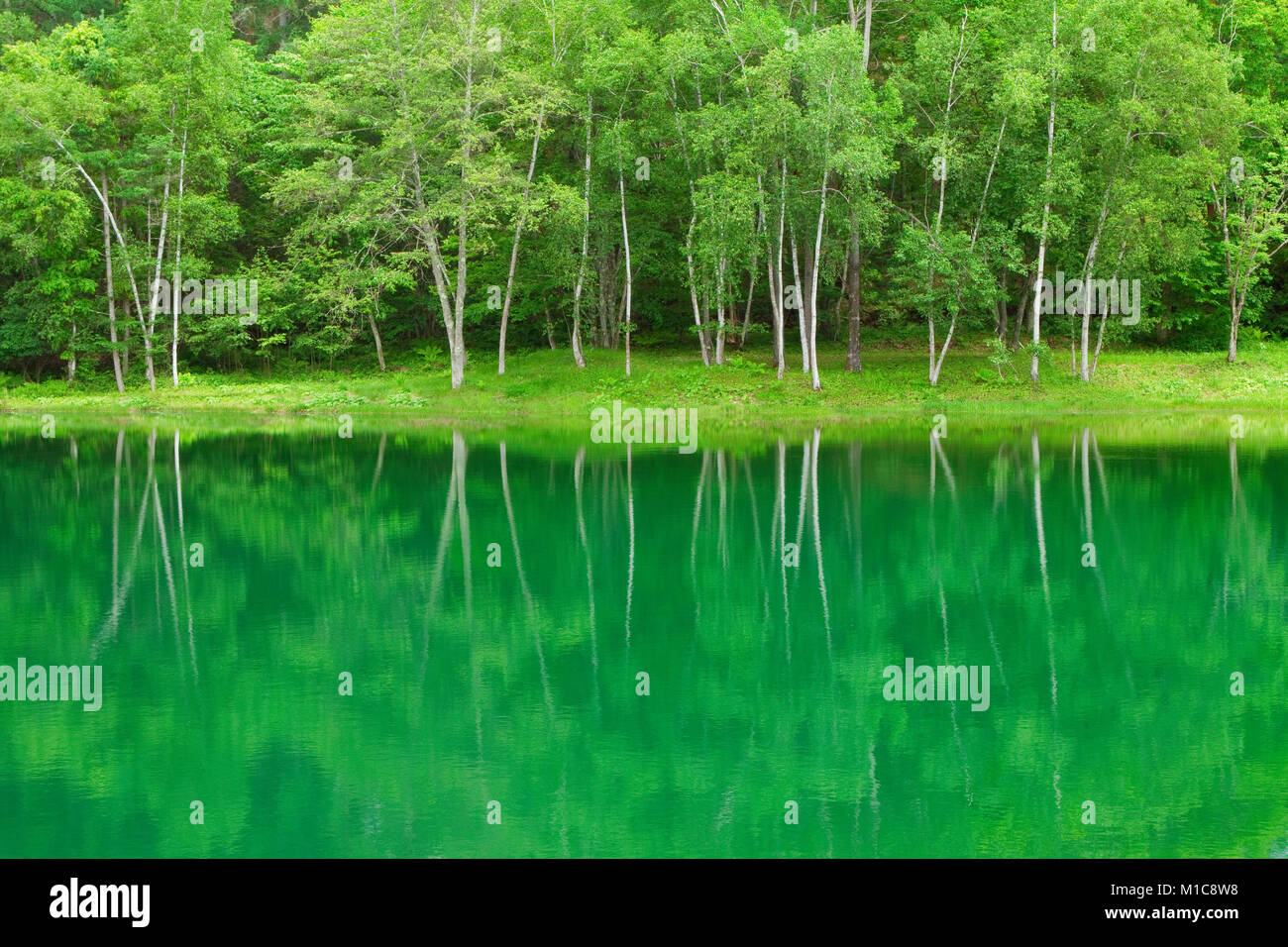 Chino nagano hi-res stock photography and images - Alamy