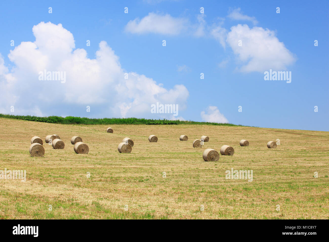 Country field, Hokkaido, Japan Stock Photo - Alamy