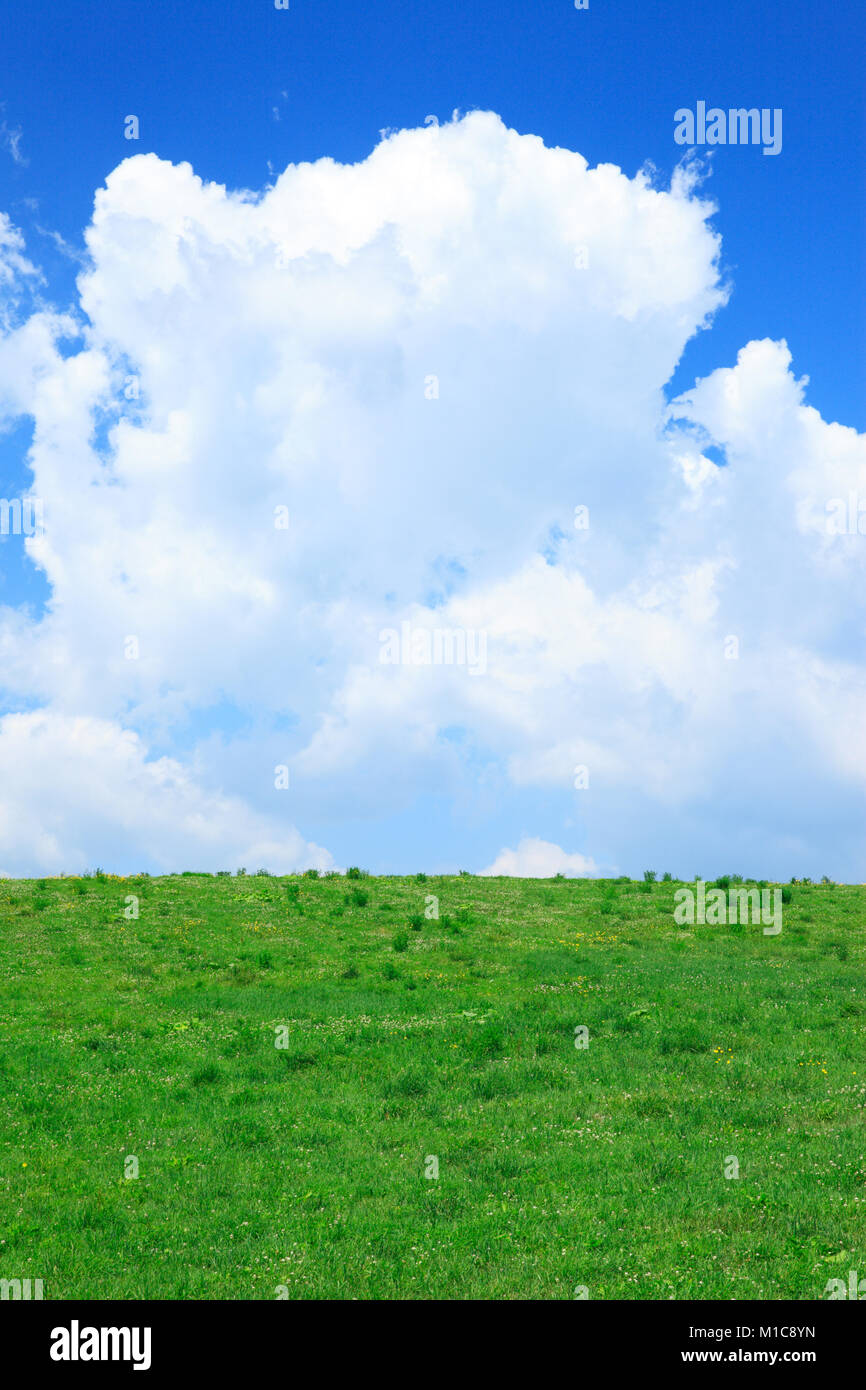 Green field, Hokkaido, Japan Stock Photo - Alamy