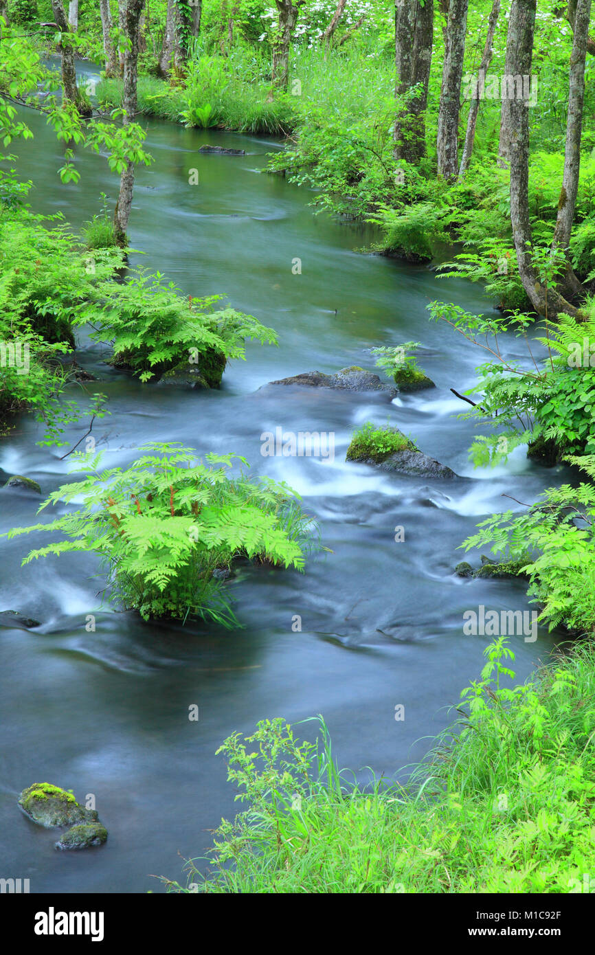 Rain Japan Sunny High Resolution Stock Photography and Images - Alamy