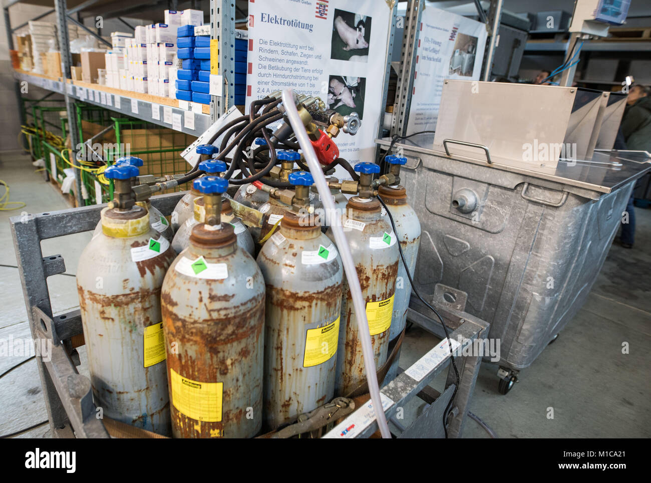 A plant for the killing of diseased poultry with CO2 can be seen at the ...