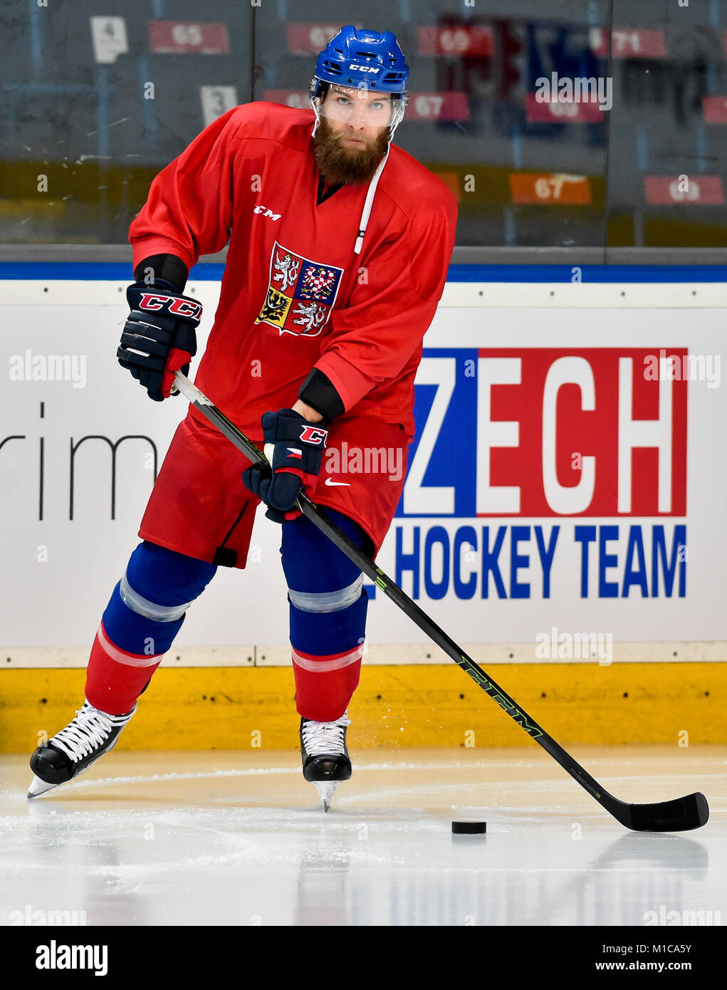 Adam Polasek, ice hockey player of the Czech national team, attends a ...