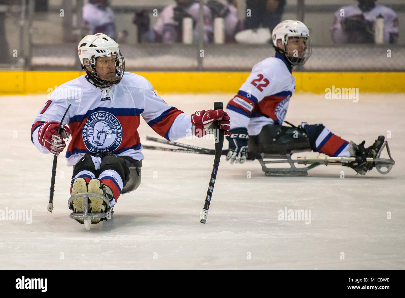 Disabled wheelchair skating hi-res stock photography and images - Alamy