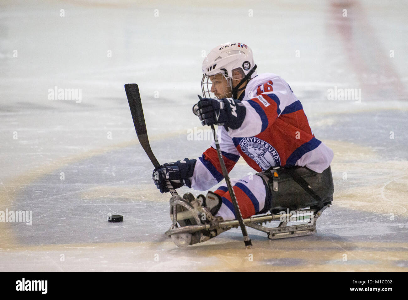 Disabled Wheelchair Skating Stock Photos & Disabled Wheelchair Skating ...