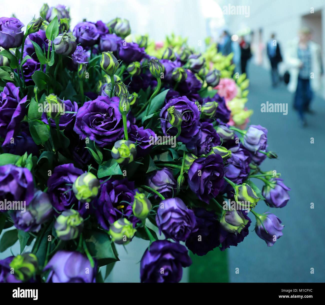 Frankfurt, Germany. 29th Jan, 2018. People visit the exhibition ...