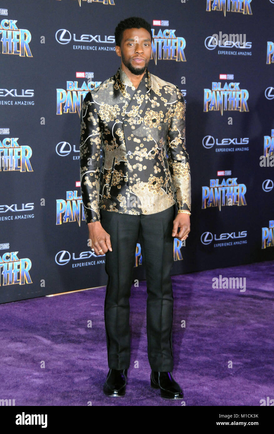 Los Angeles, California, USA. 29th January, 2018. Actor Chadwick ...