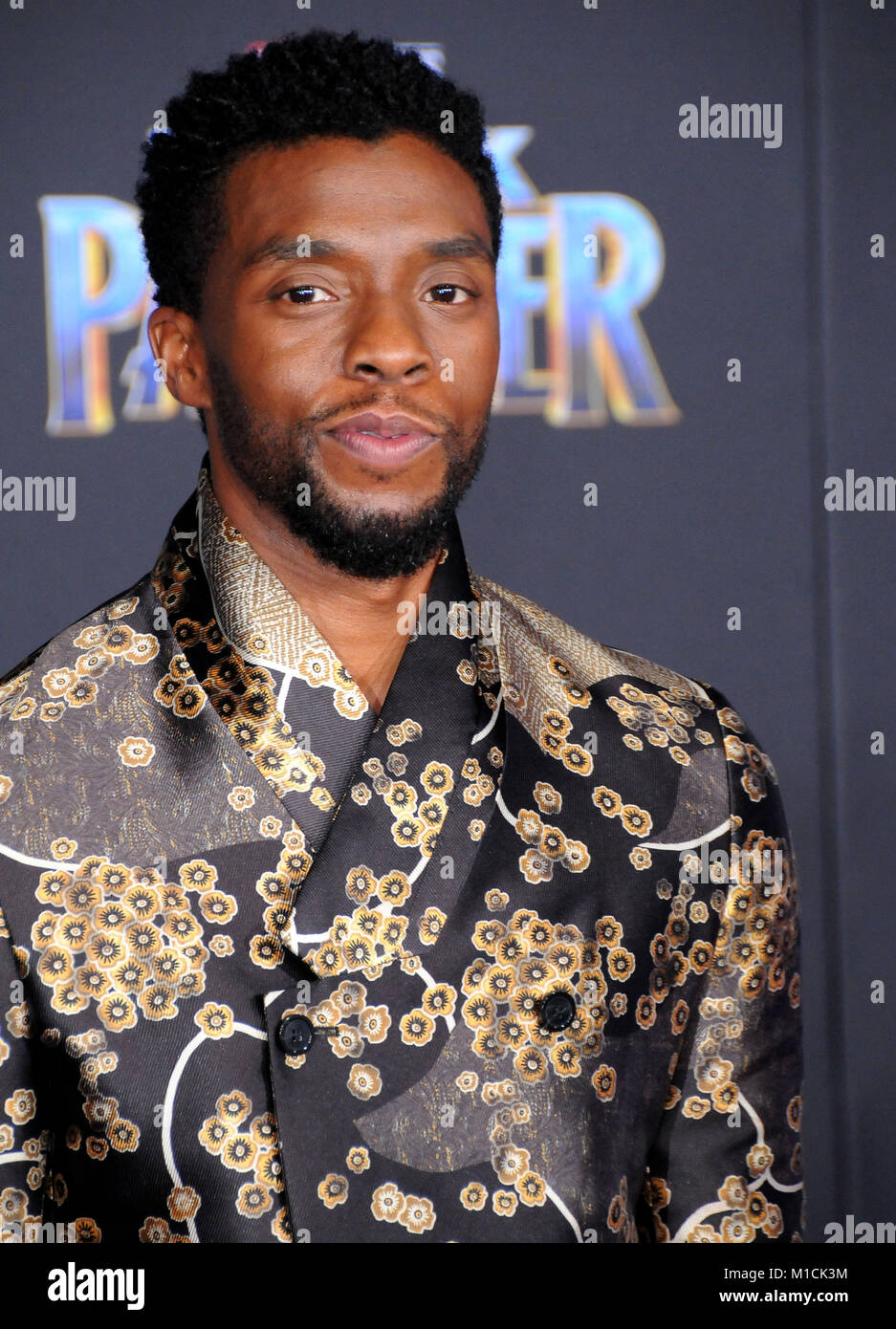Los Angeles, California, USA. 29th January, 2018. Actor Chadwick ...