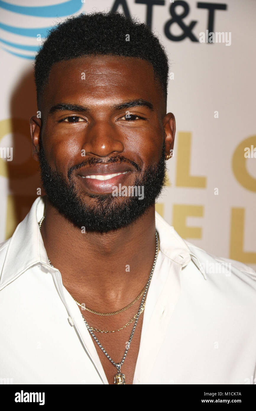 New York City, New York, USA. 29th Jan, 2018. Actor, model BRODERICK ...