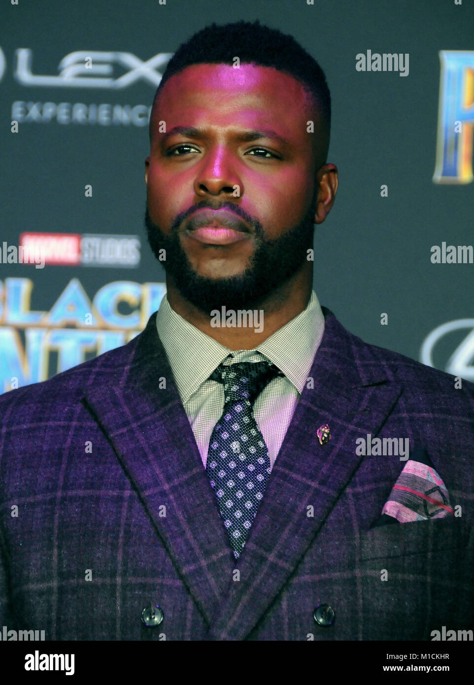 Black panther cast hi-res stock photography and images - Alamy