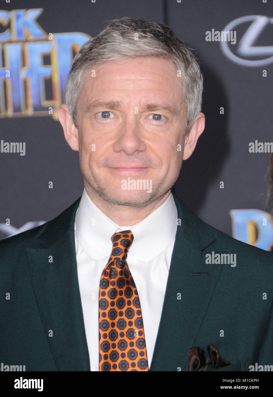 Freeman martin black panther hi-res stock photography and images - Alamy