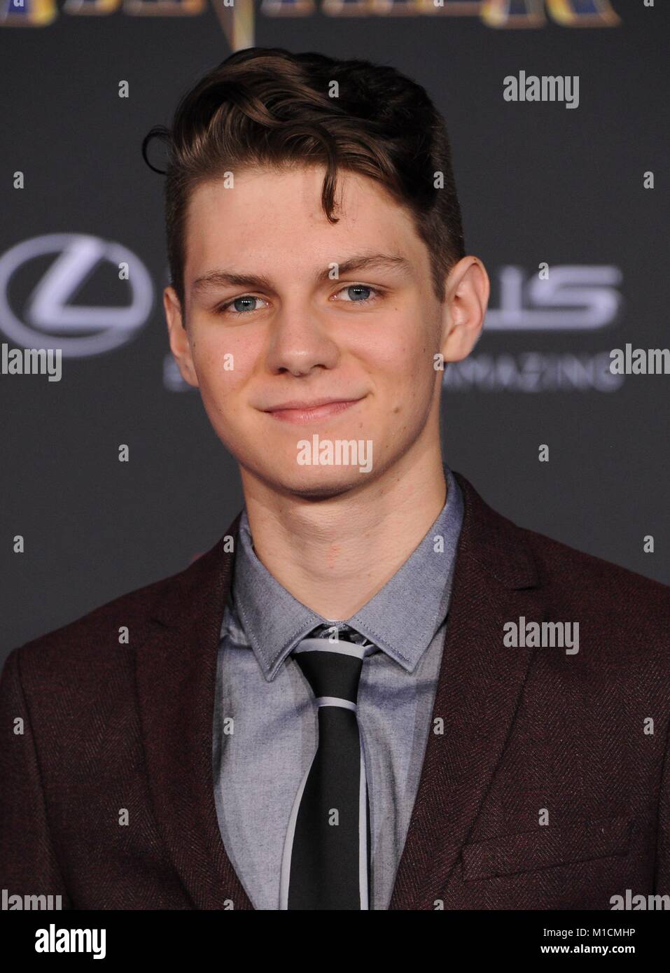 Los Angeles, CA, USA. 29th Jan, 2018. Ty Simpkins at arrivals for ...