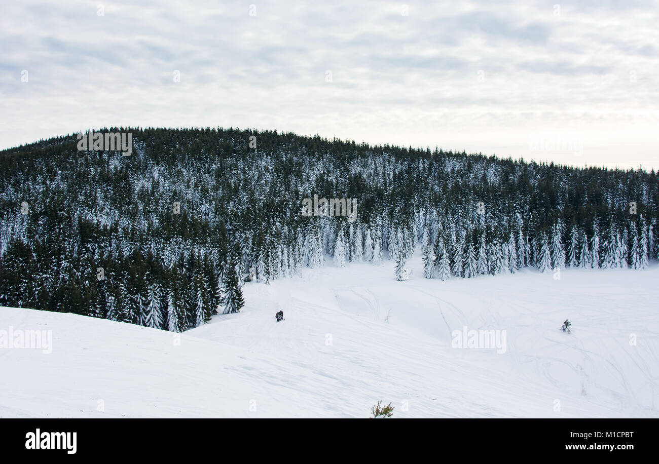 Beautiful snowy landscape winter hi-res stock photography and images ...