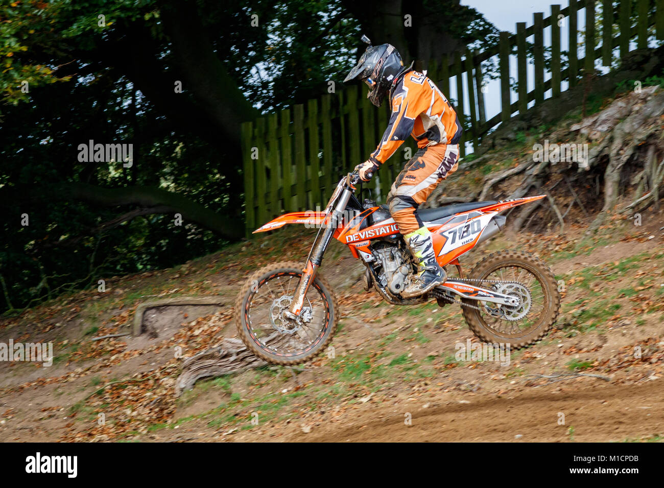 Jamie leach hi-res stock photography and images - Alamy