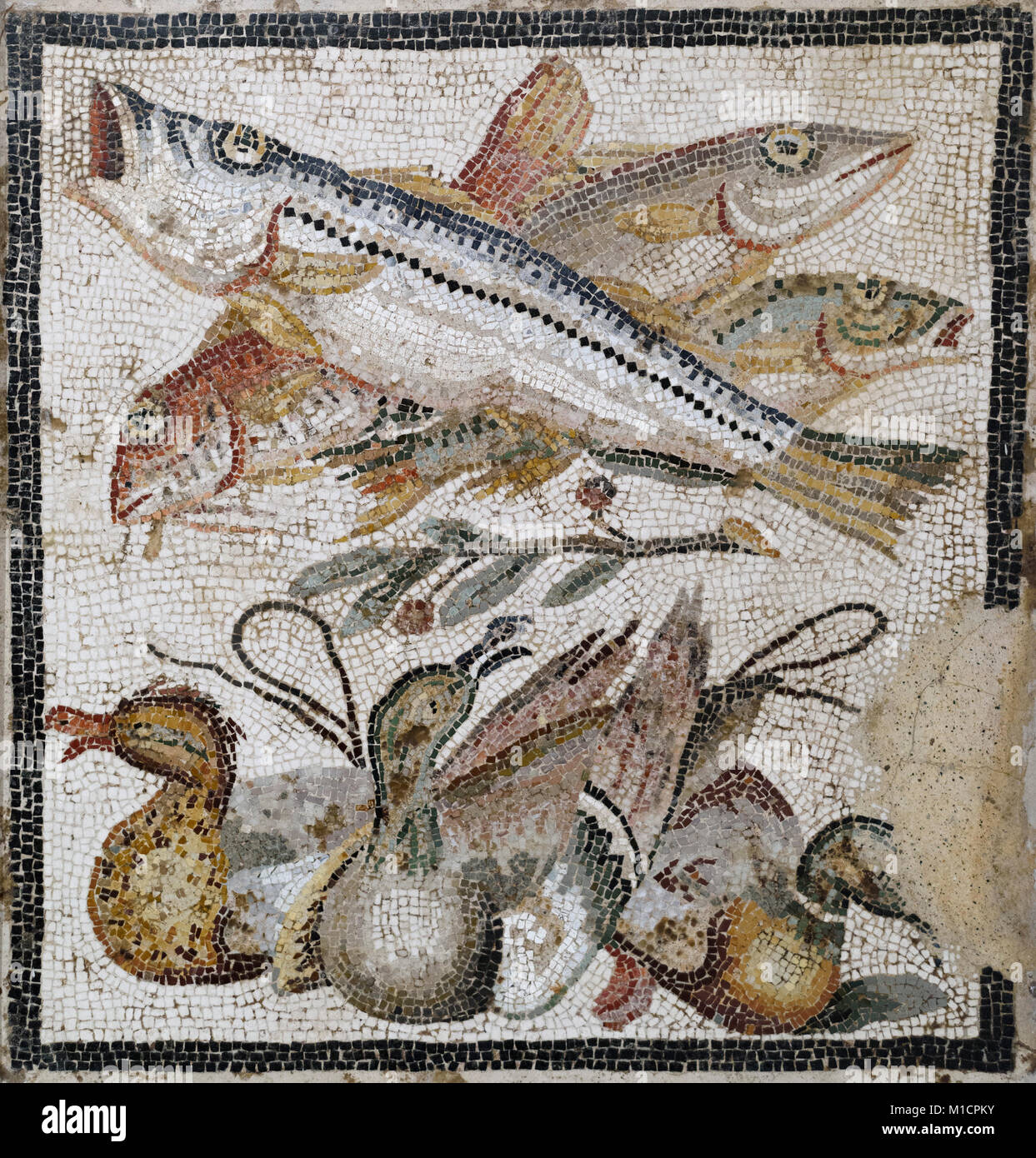 Roman mosaic fish hi-res stock photography and images - Alamy