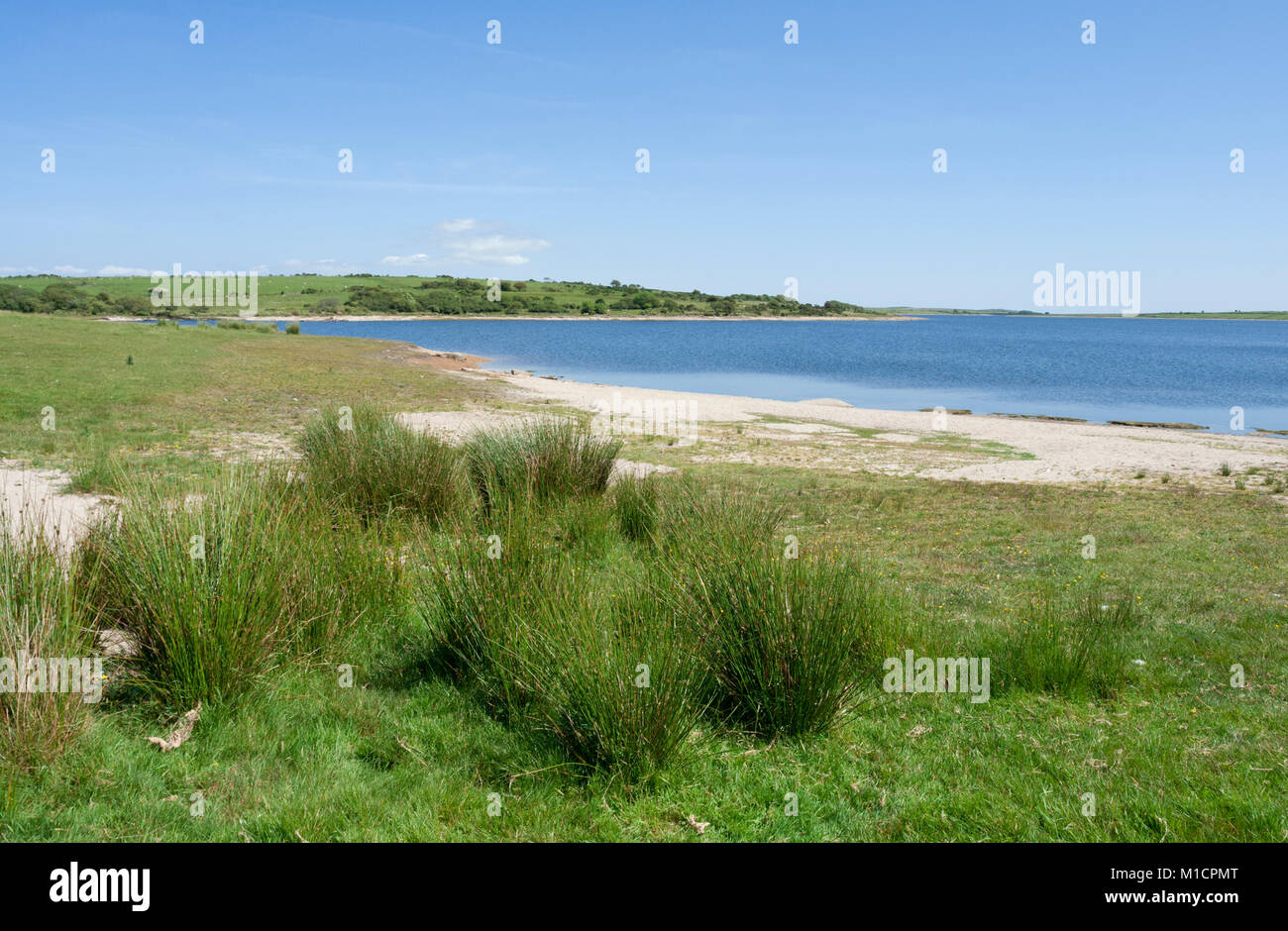 Colliford Lake ( Reservoir ), Cornwall, England, UK in June Stock Photo ...