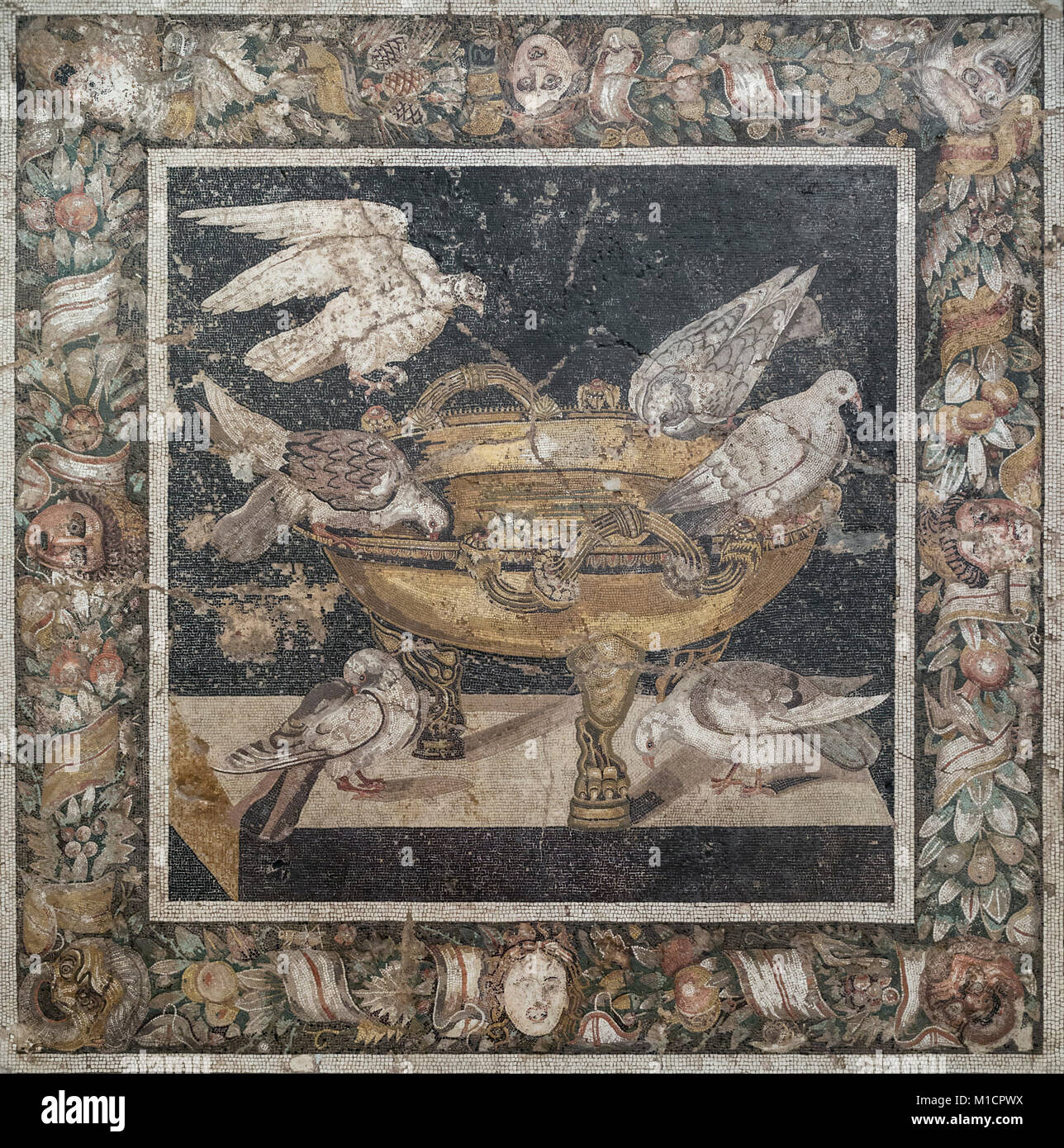 Doves hi-res stock photography and images - Alamy