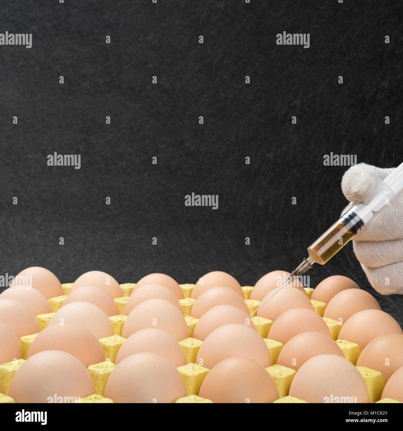 doing injection by medical syringe to rows of eggs Stock Photo - Alamy
