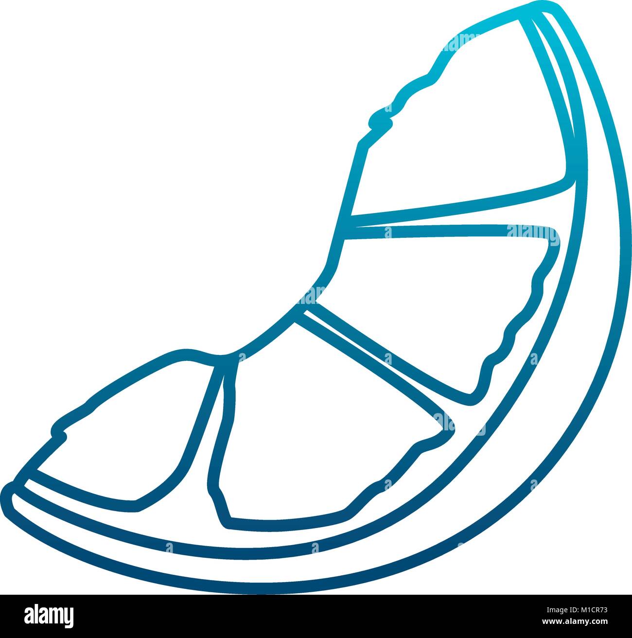 Sliced citrus on blue Stock Vector Images - Alamy