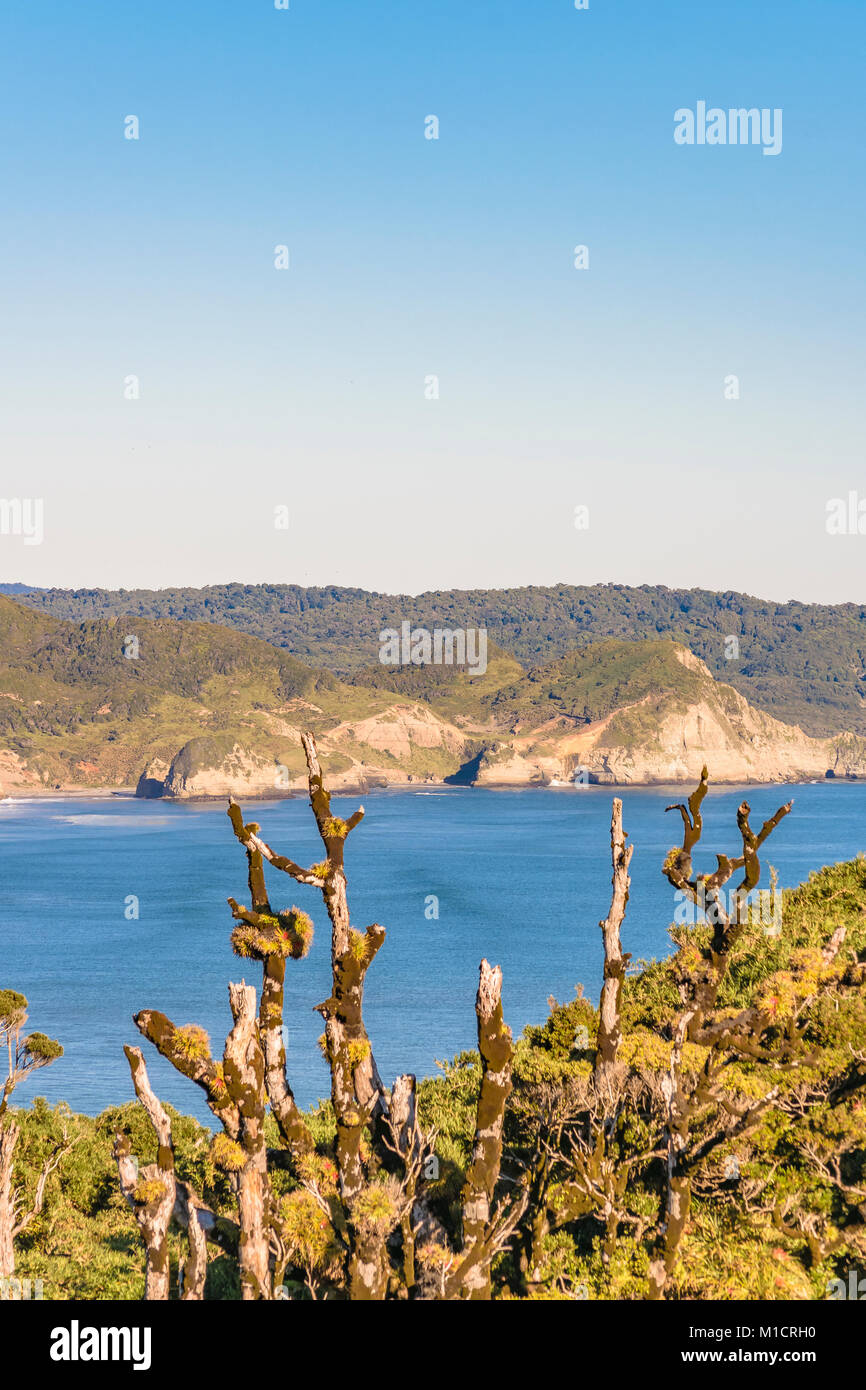 Aerial coastal landscape scene at chiloe island, chile Stock Photo - Alamy