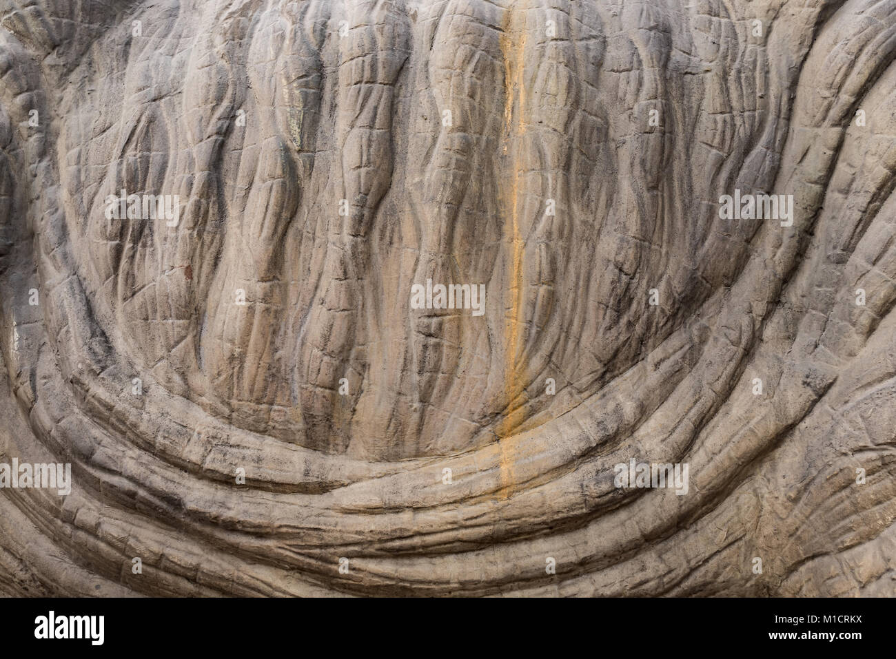 dinosaur body as background Stock Photo - Alamy