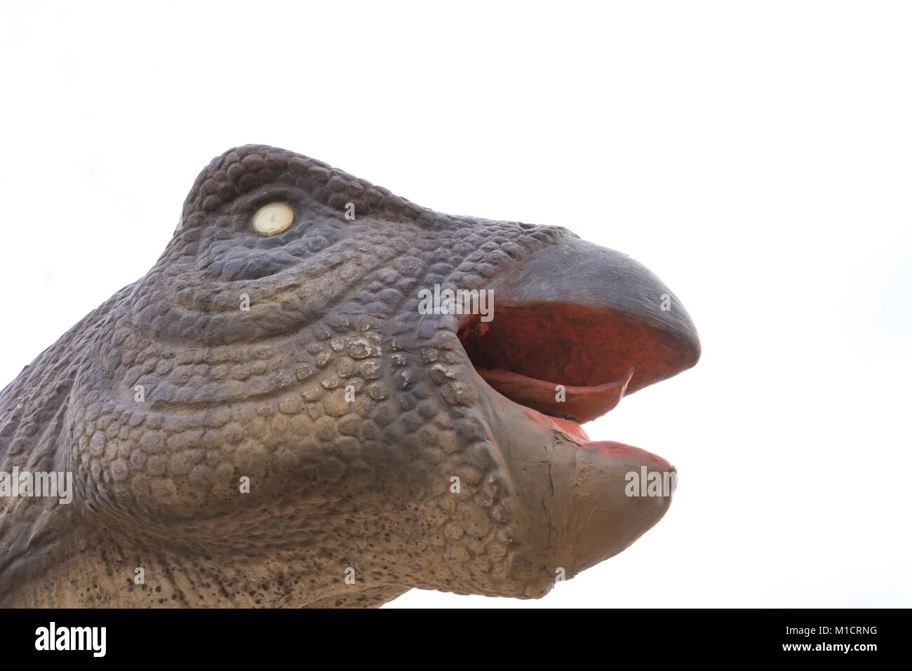 Psittacosaurus dinosaur hi-res stock photography and images - Alamy