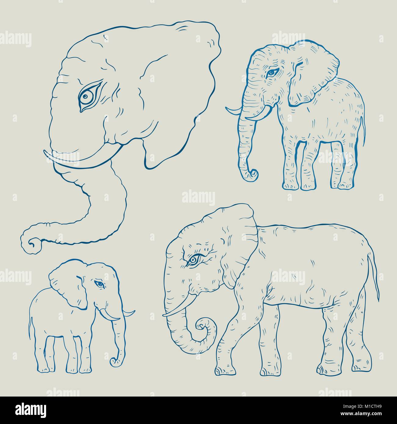 Elephant. Vector illustration Stock Vector Image & Art - Alamy