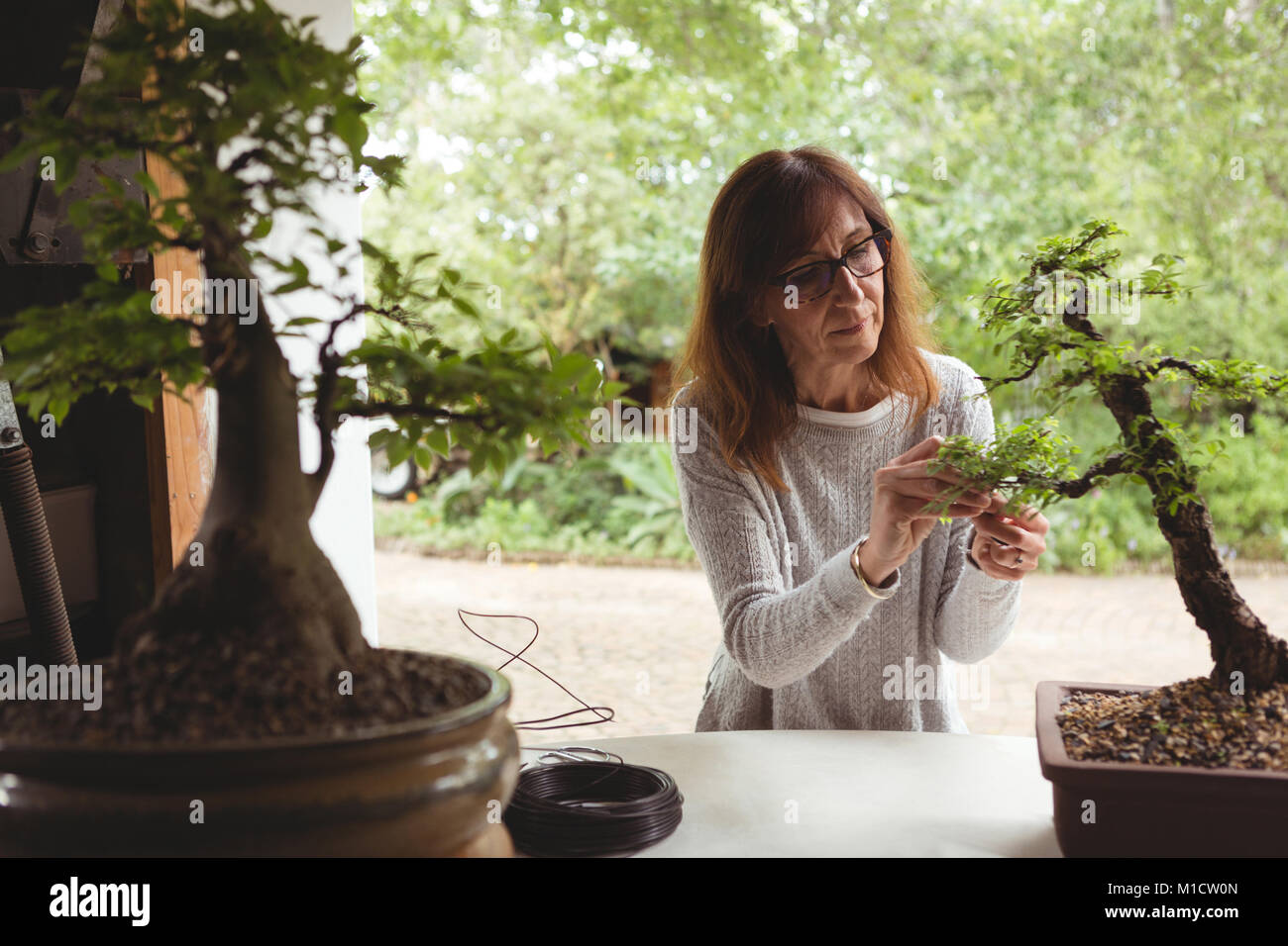 Checking plant hi-res stock photography and images - Alamy