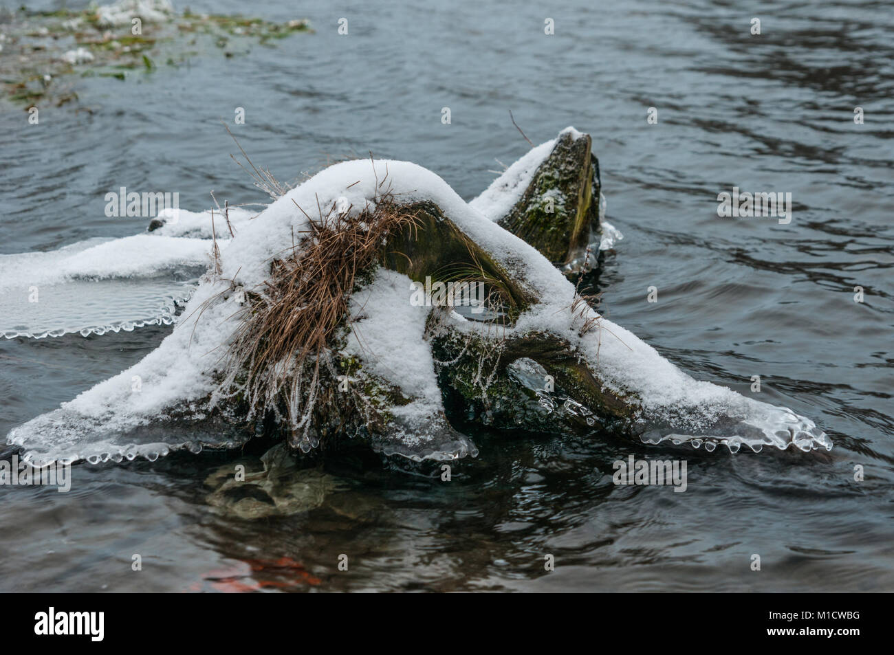 Water Sprites Mythology. Nix - New World Encyclopedia