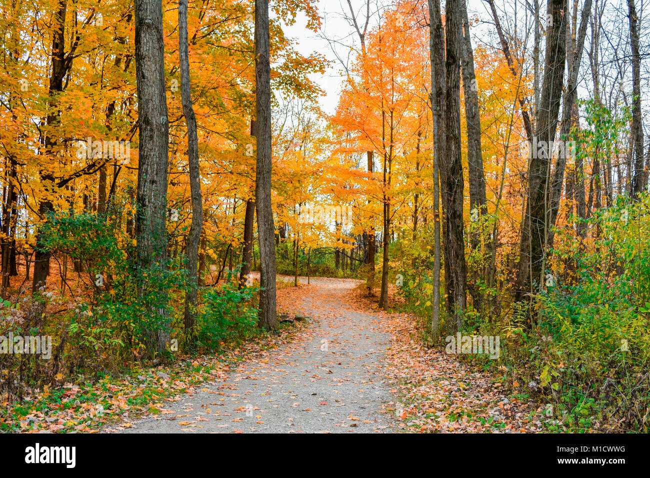 Gravel line hi-res stock photography and images - Alamy