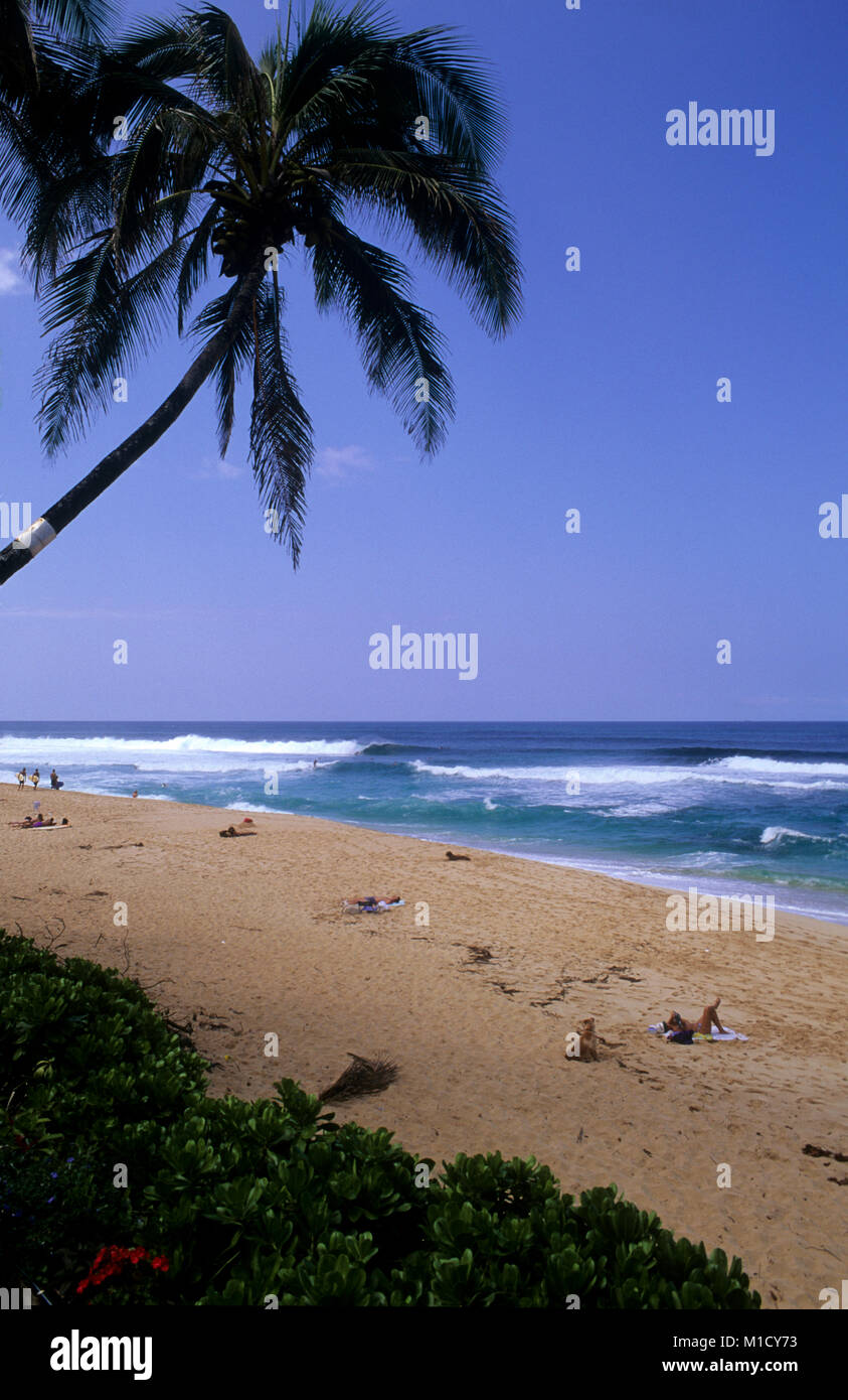 Pipeline, North shore Oahu is one of the best surfing beaches in the ...