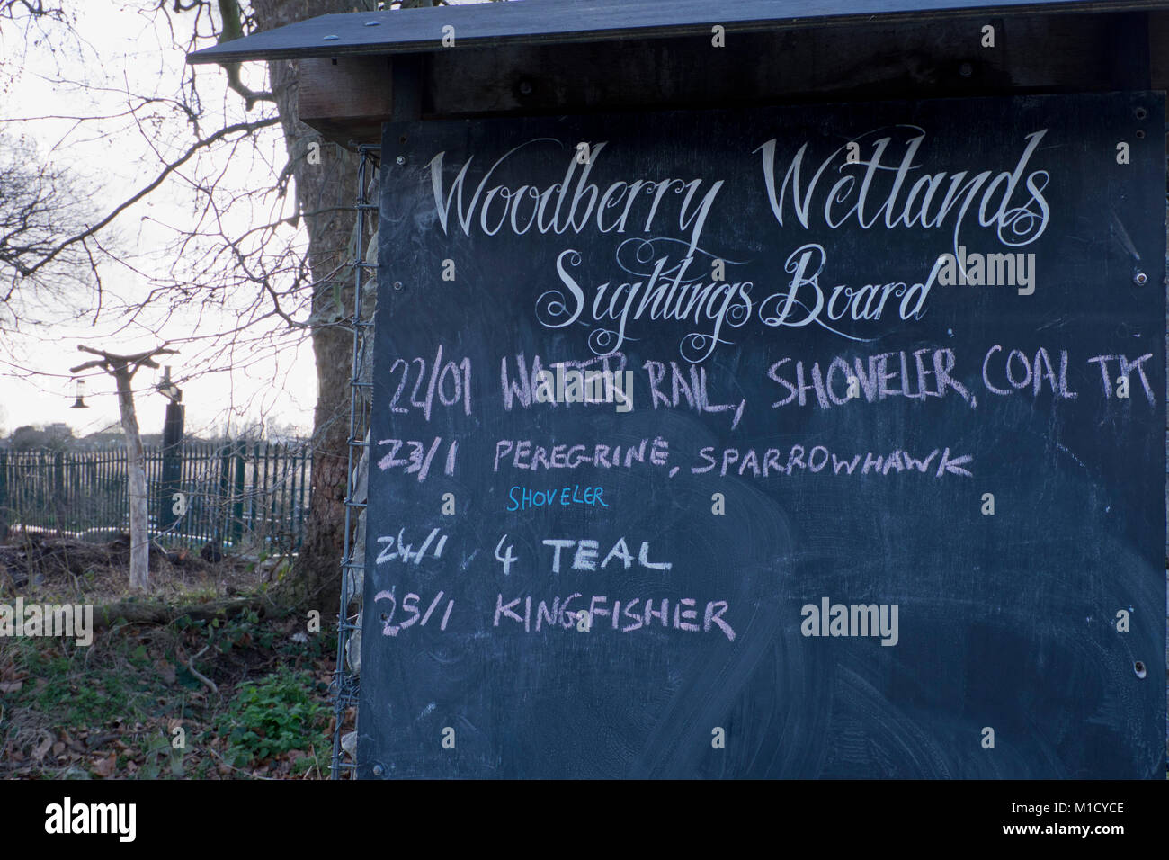 Bird watching cabin at Woodberry Wetlands nature reserve in Hackney ...
