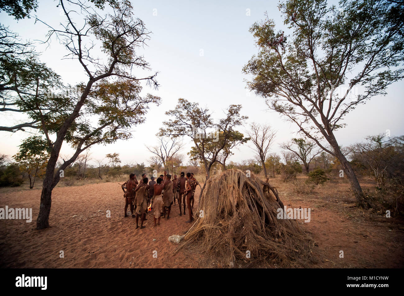 Ju/'Hoansi San bushmen hunter ceremony dancing around camp fire at ...