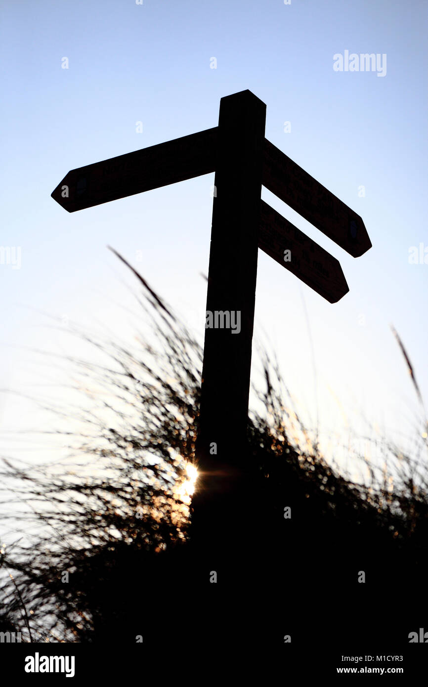 Signpost silhouette hi-res stock photography and images - Alamy