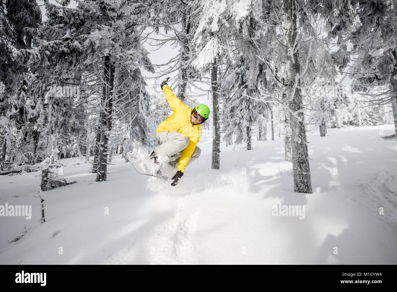 Snowboard in forest hi-res stock photography and images - Alamy