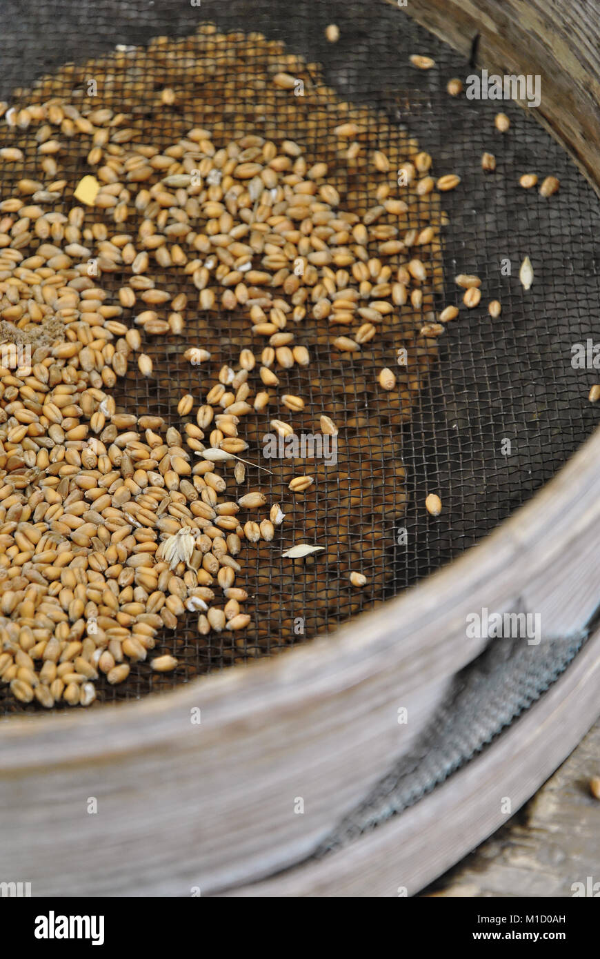 Sieving Grains