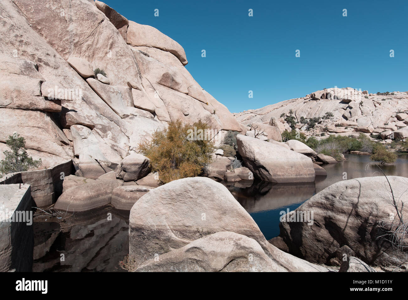 Tree dam hi-res stock photography and images - Alamy