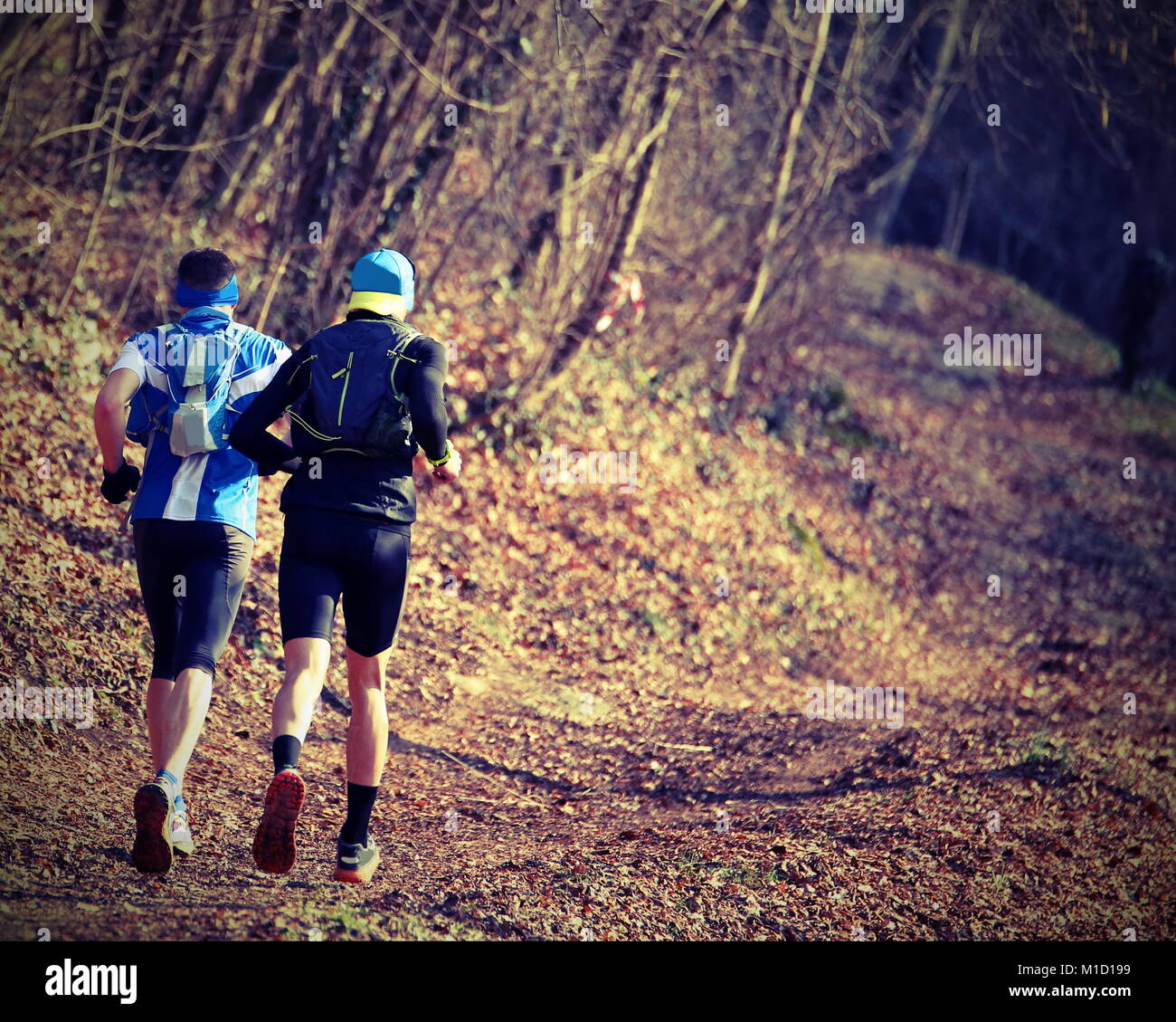 athletes run fast in the path in the woods during a cross country race ...