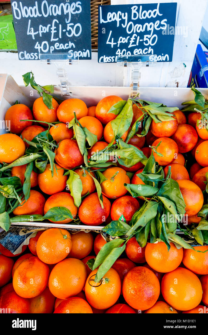 Citrus display hi-res stock photography and images - Alamy