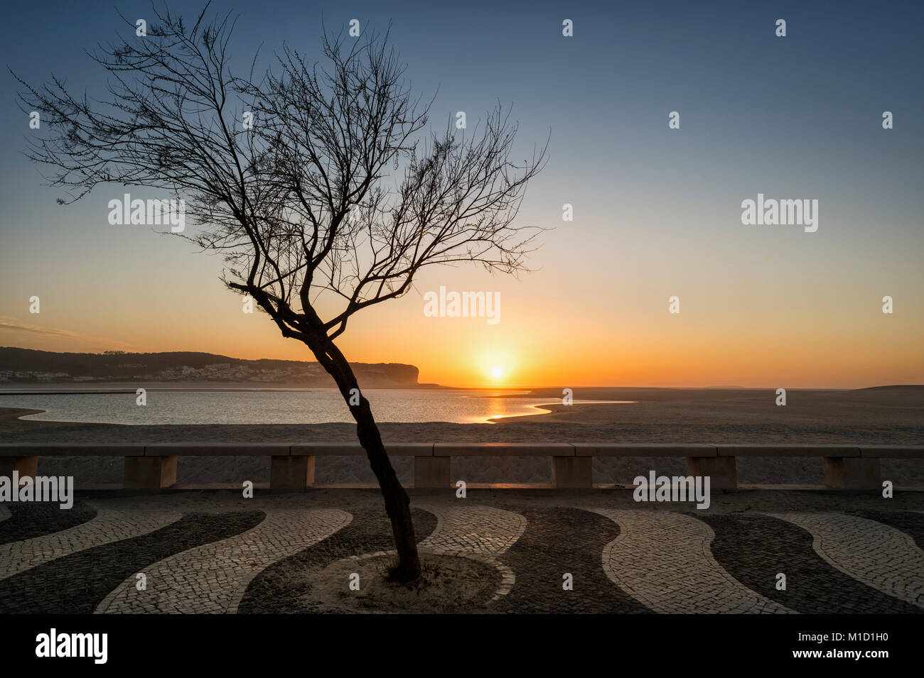 Wavy pavement hi-res stock photography and images - Alamy