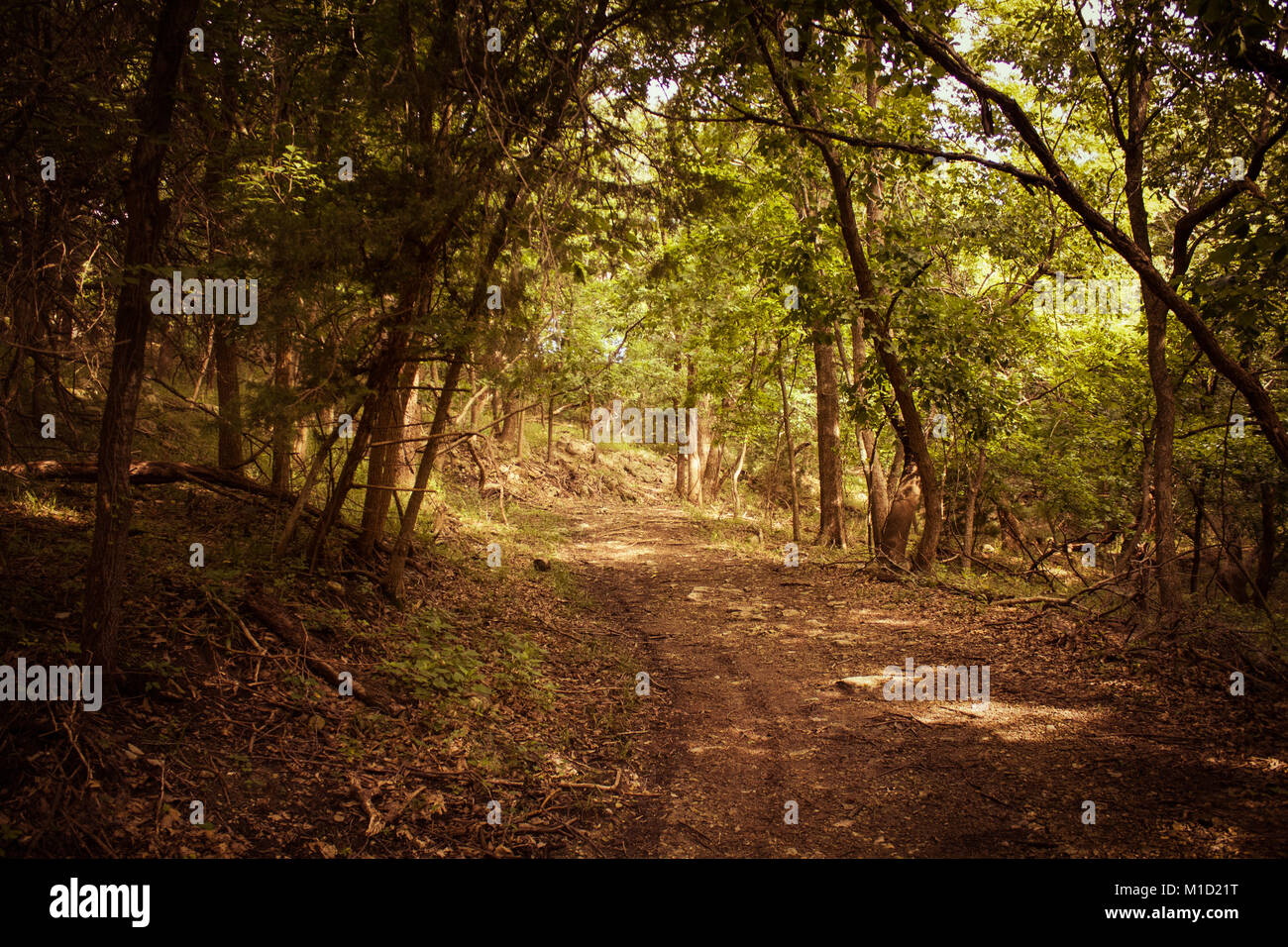 Inviting journey hi-res stock photography and images - Alamy