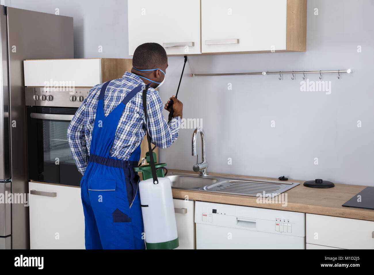 Pest Control Worker Spraying Pesticide With Sprayer In Kitchen Stock ...