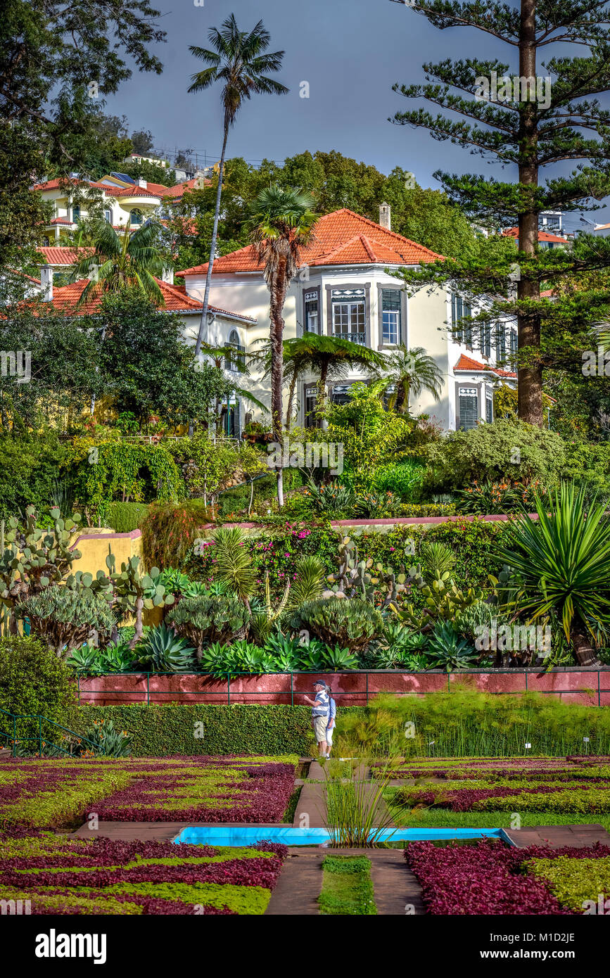 Flowerbeds, Manor House, Botanical Garden, Funchal, Madeira, Portugal ...