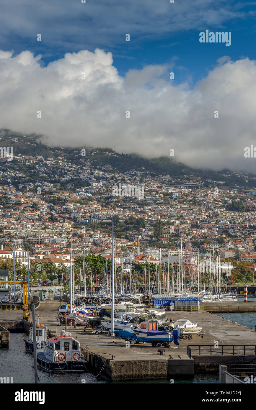 Marina, Funchal, Madeira, Portugal Stock Photo - Alamy