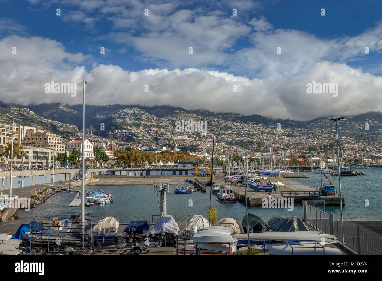 Marina, Funchal, Madeira, Portugal Stock Photo - Alamy