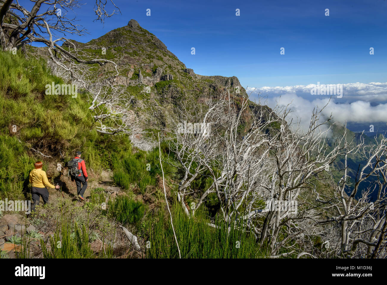 PR1 hiking trail from the Pico do Arieiro to Pico Ruivo, Madeira ...